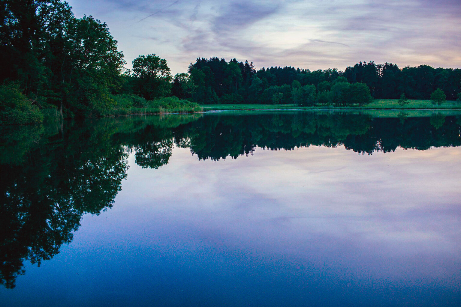 About - Aquera America Foundation